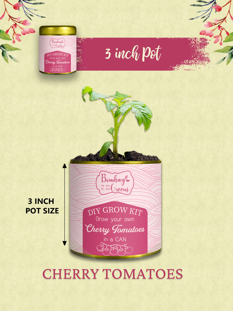 Buy DIY grow kit gift set (Pack of 4) Online in India