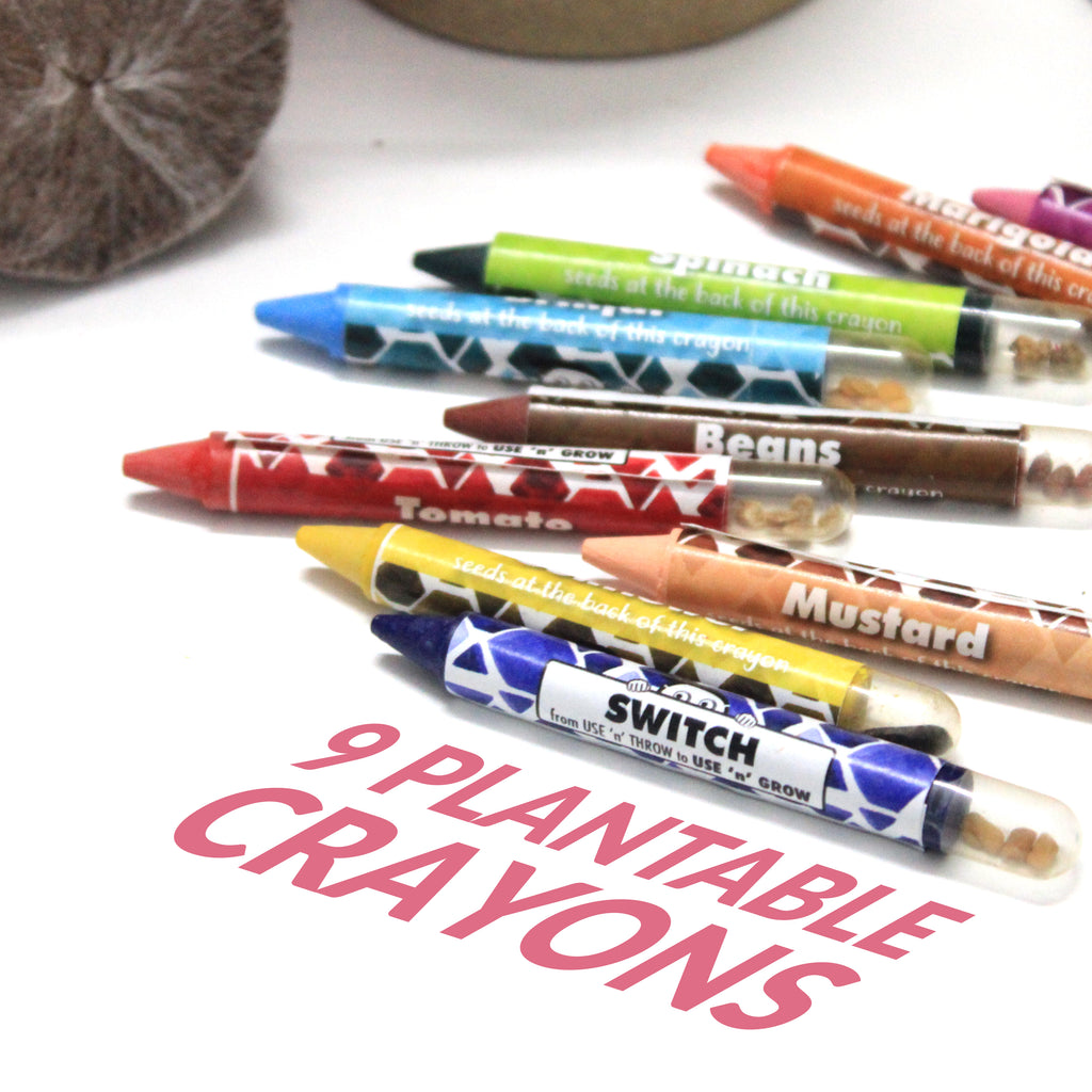 Buy Recycled paper seed crayons & color pencils Online in India