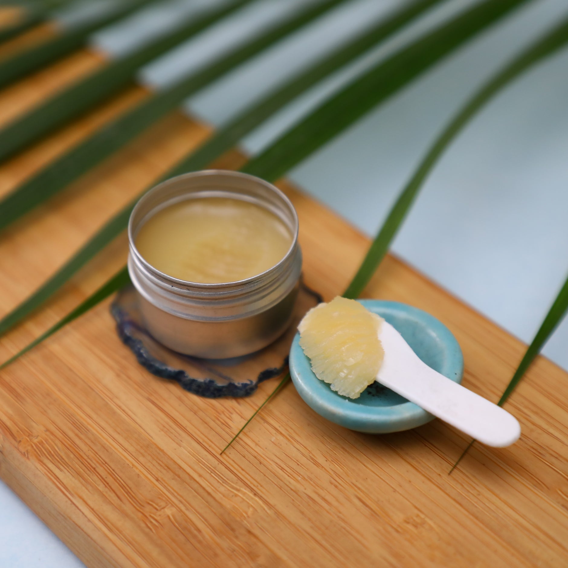 Organic Lip Care Products